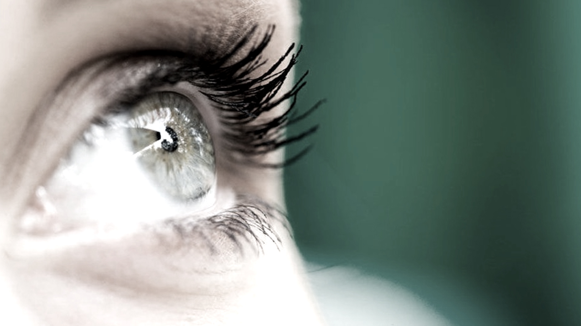 FIX YOUR GAZE ON THE WORD - Word of Truth Ministries International